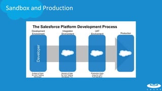 Demystifying salesforce for developers | PDF | Cloud Computing | Internet