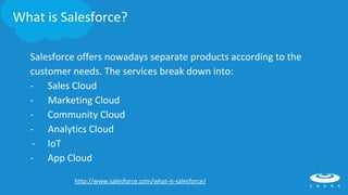 Demystifying salesforce for developers | PDF | Cloud Computing | Internet