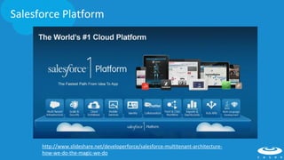 Demystifying salesforce for developers | PDF | Cloud Computing | Internet