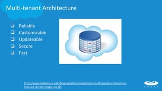 Demystifying salesforce for developers | PDF | Cloud Computing | Internet