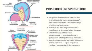 Embriología del sistema respiratorio (Neumología) | PPTX
