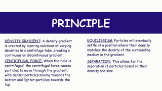 Density gradient centrifugation technique | PDF