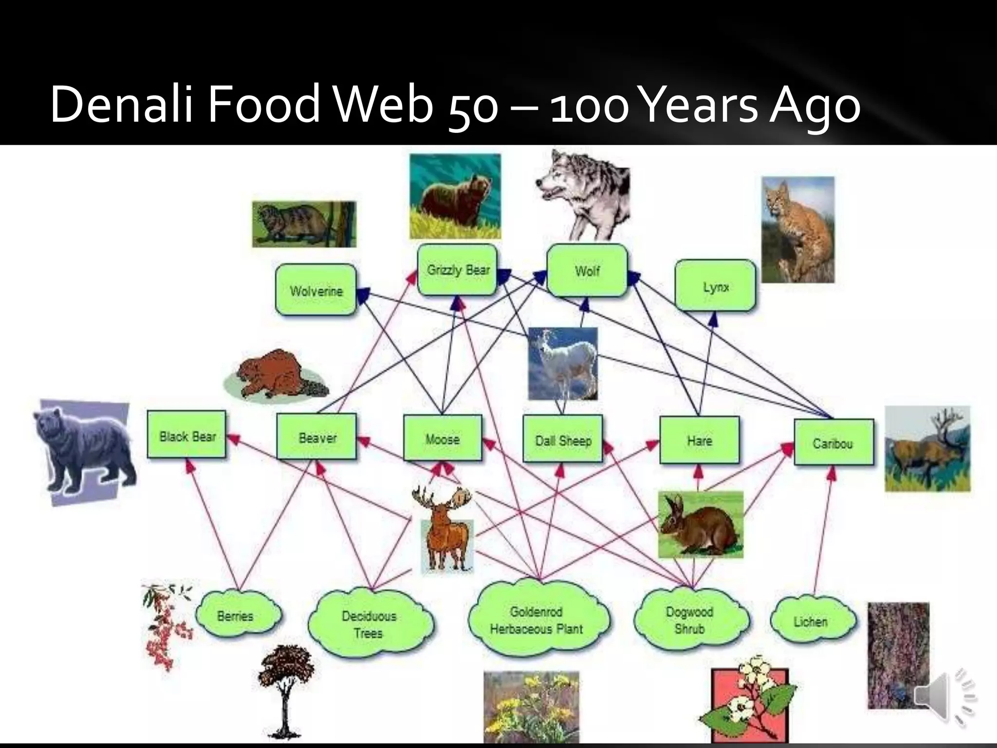 Denali national park | PPTX