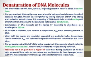 DNA Denaturation and Renaturation, Cot curves | PPTX