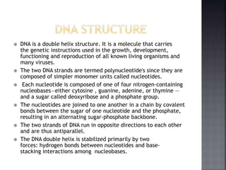 Denaturation of DNA | PDF