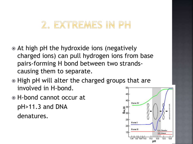 Denaturation of DNA | PDF | Chemistry | Science