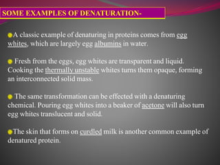 Denaturation of protein | PPTX