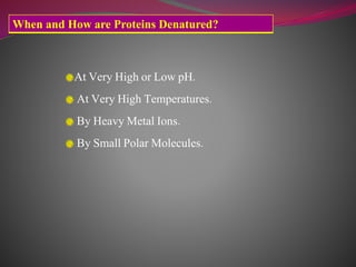 Denaturation of protein | PPTX