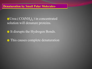 Denaturation of protein | PPTX