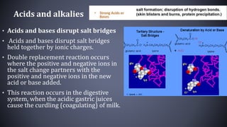 Denaturation of protein | PPTX