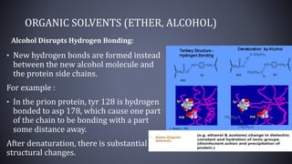 Denaturation of protein | PPTX