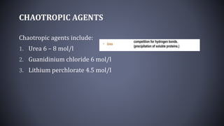Denaturation of protein | PPTX