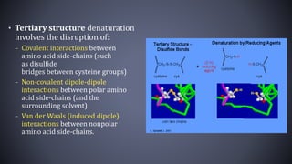 Denaturation of protein | PPTX