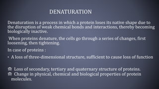 Denaturation of protein | PPTX
