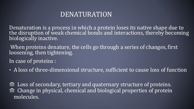 What Is Denaturation And Why Is It Important? – ARJF