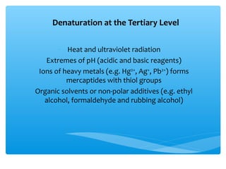 Denaturation of proteins | PPT