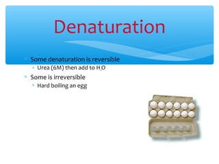 Denaturation of proteins | PPT
