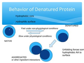 Denaturation of proteins | PPT