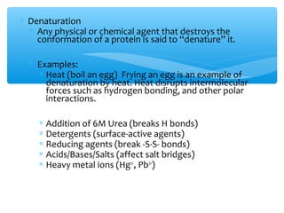 Denaturation of proteins | PPT