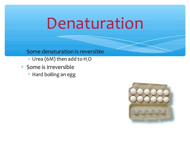 Denaturation of proteins