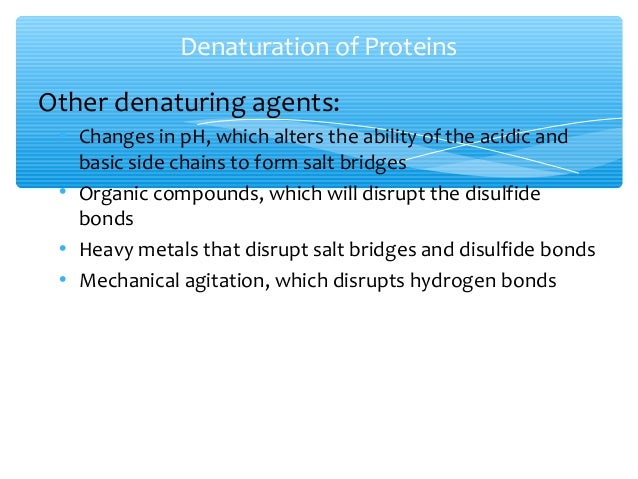 Denaturation of proteins