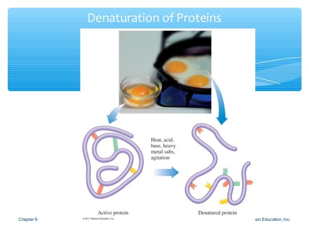Denaturation of proteins
