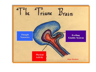 Dendistry brain slides | PPT