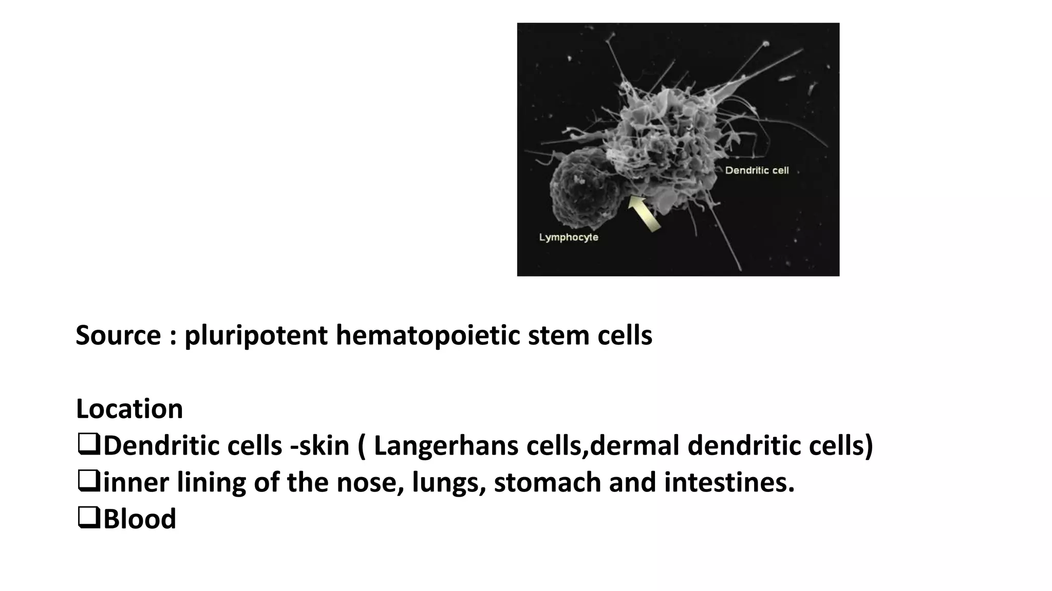 Dendritic cells functions and types | PPTX