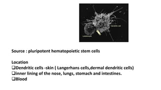 Dendritic cells functions and types | PPTX