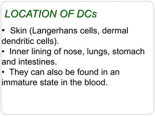 Dendritic cells | PPTX
