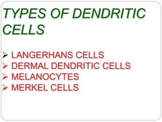 Dendritic cells | PPTX