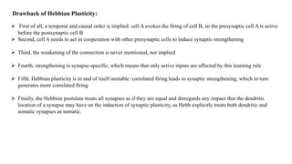 Dendritic excitability and synaptic plasticity | PPTX