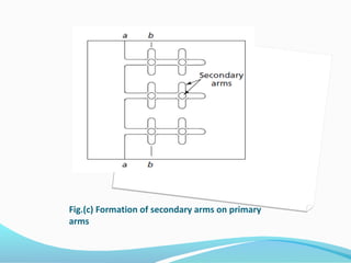 Dendritic growth in pure metals | PPT