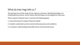 Comprehensive Study of Dendrochronology: Tree Rings and Their ...