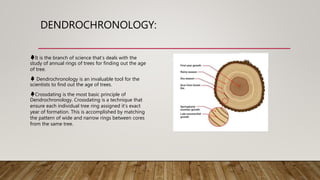 Dendrochronology jaspreet | PPTX