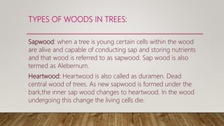 Dendrochronology jaspreet | PPTX