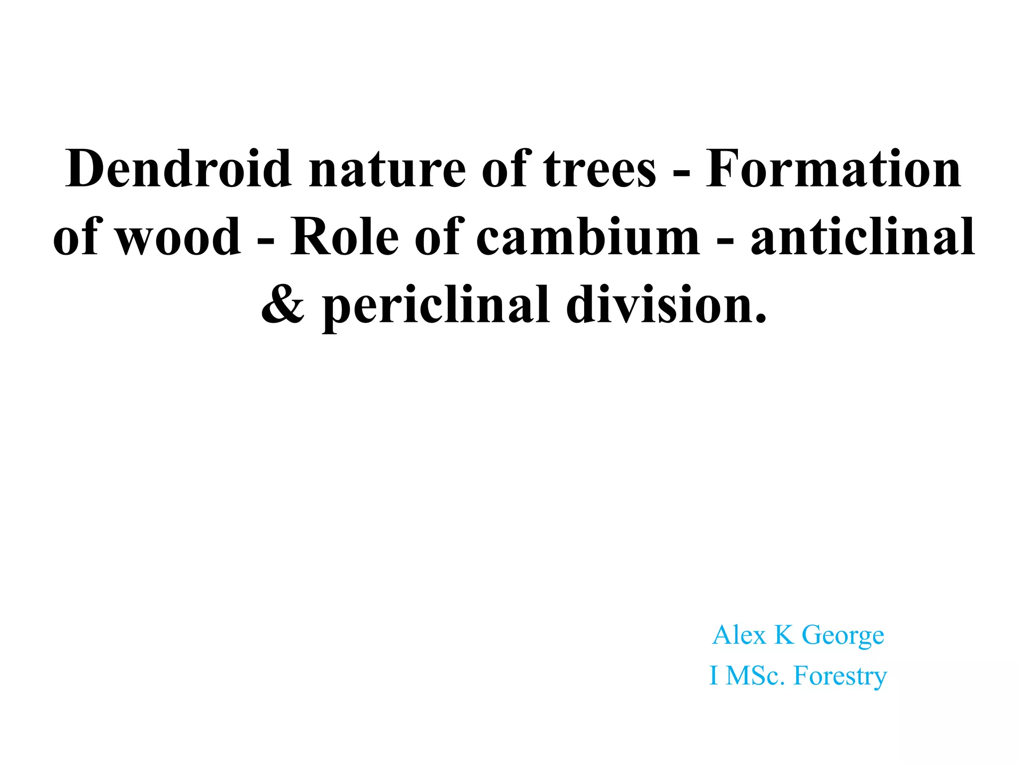 Dendroid nature of trees formation of wood - role of cambium ...