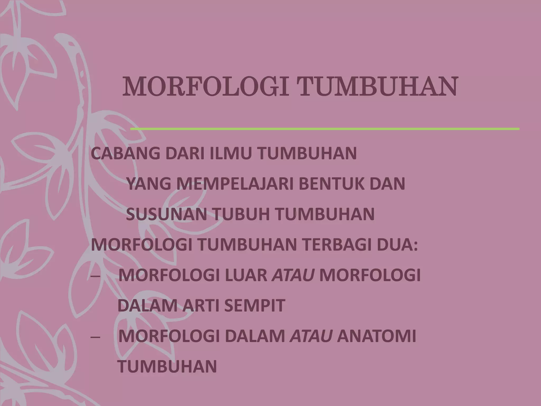 Dendrologi 2.ppt