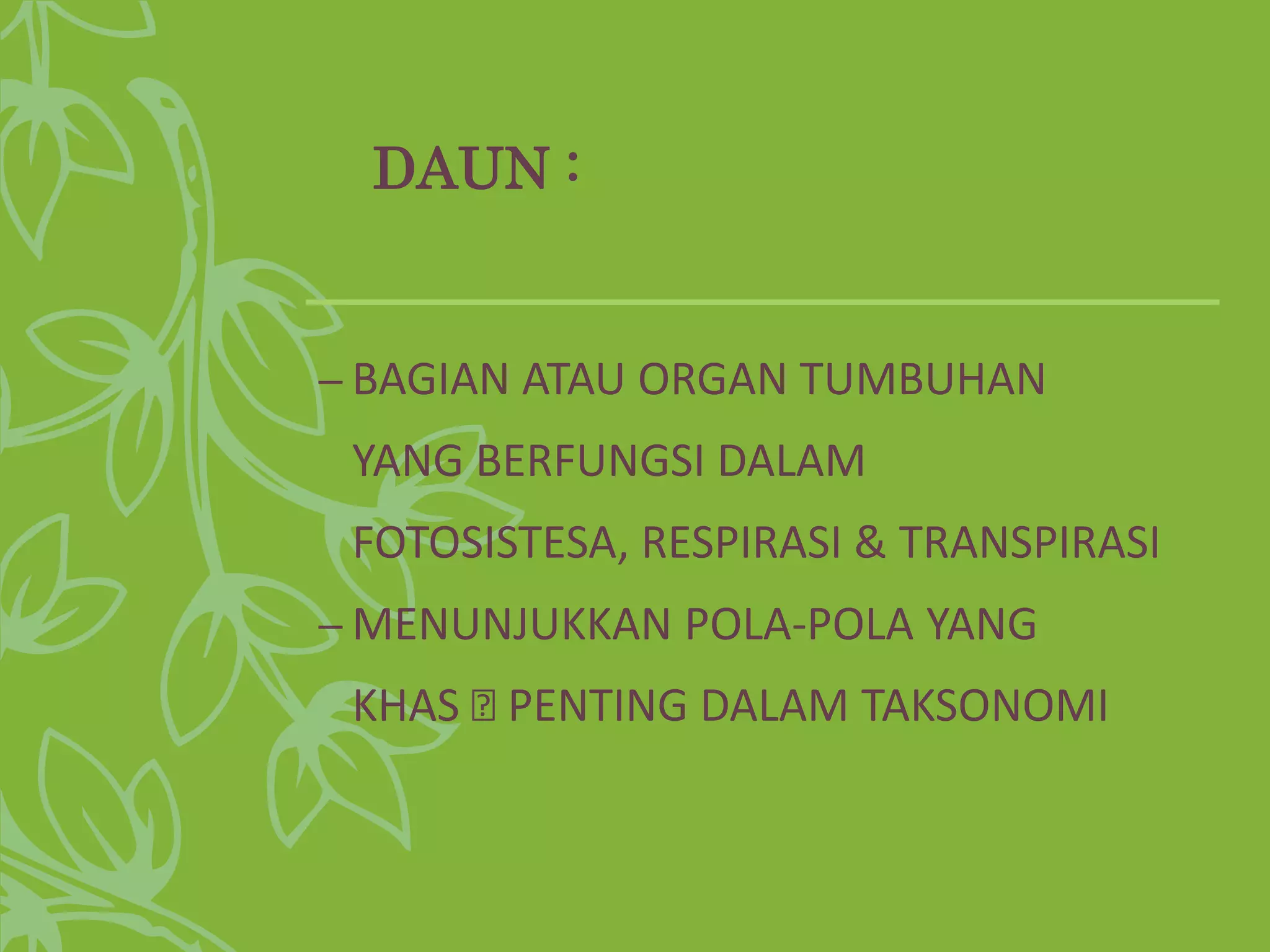 Dendrologi 2.ppt