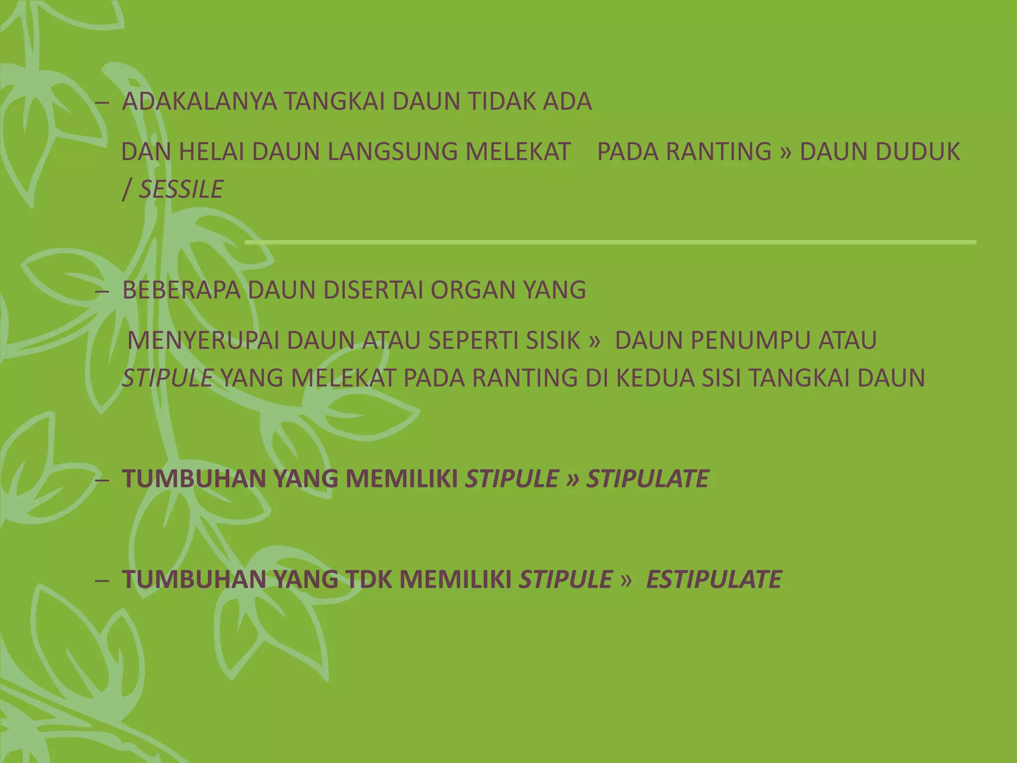 Dendrologi 2.ppt