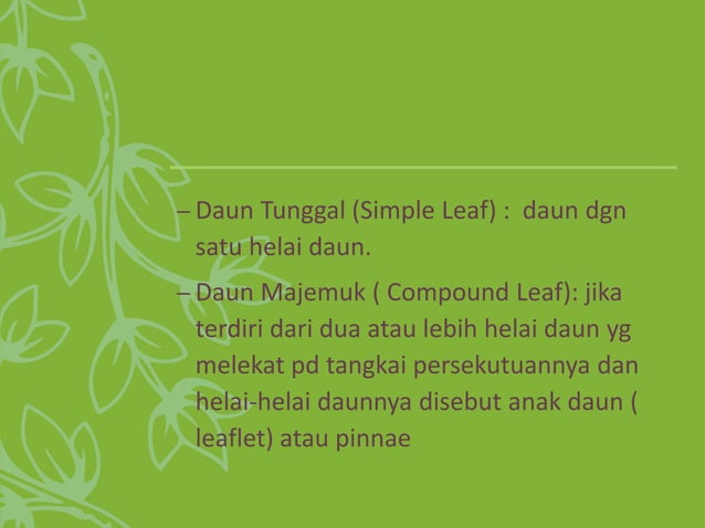 Dendrologi 2.ppt