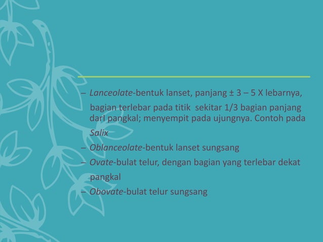 Dendrologi 2.ppt