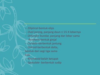 Dendrologi 2.ppt