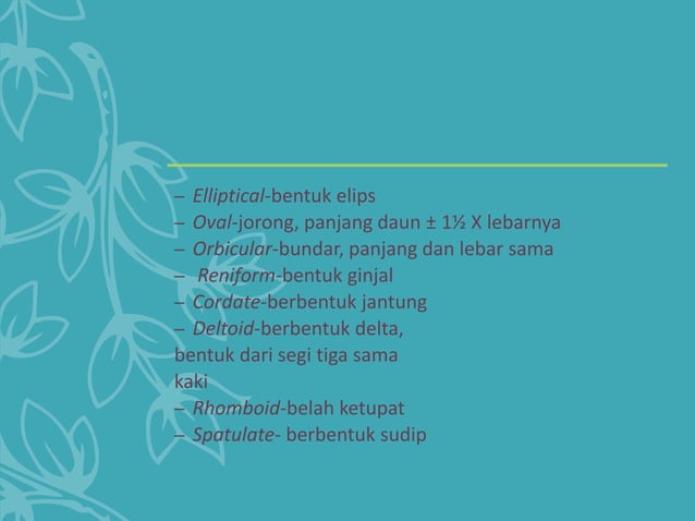 Dendrologi 2.ppt