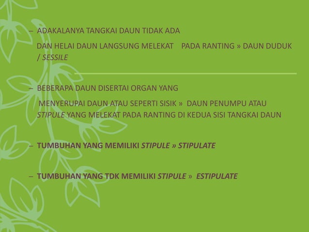 Dendrologi 2.ppt