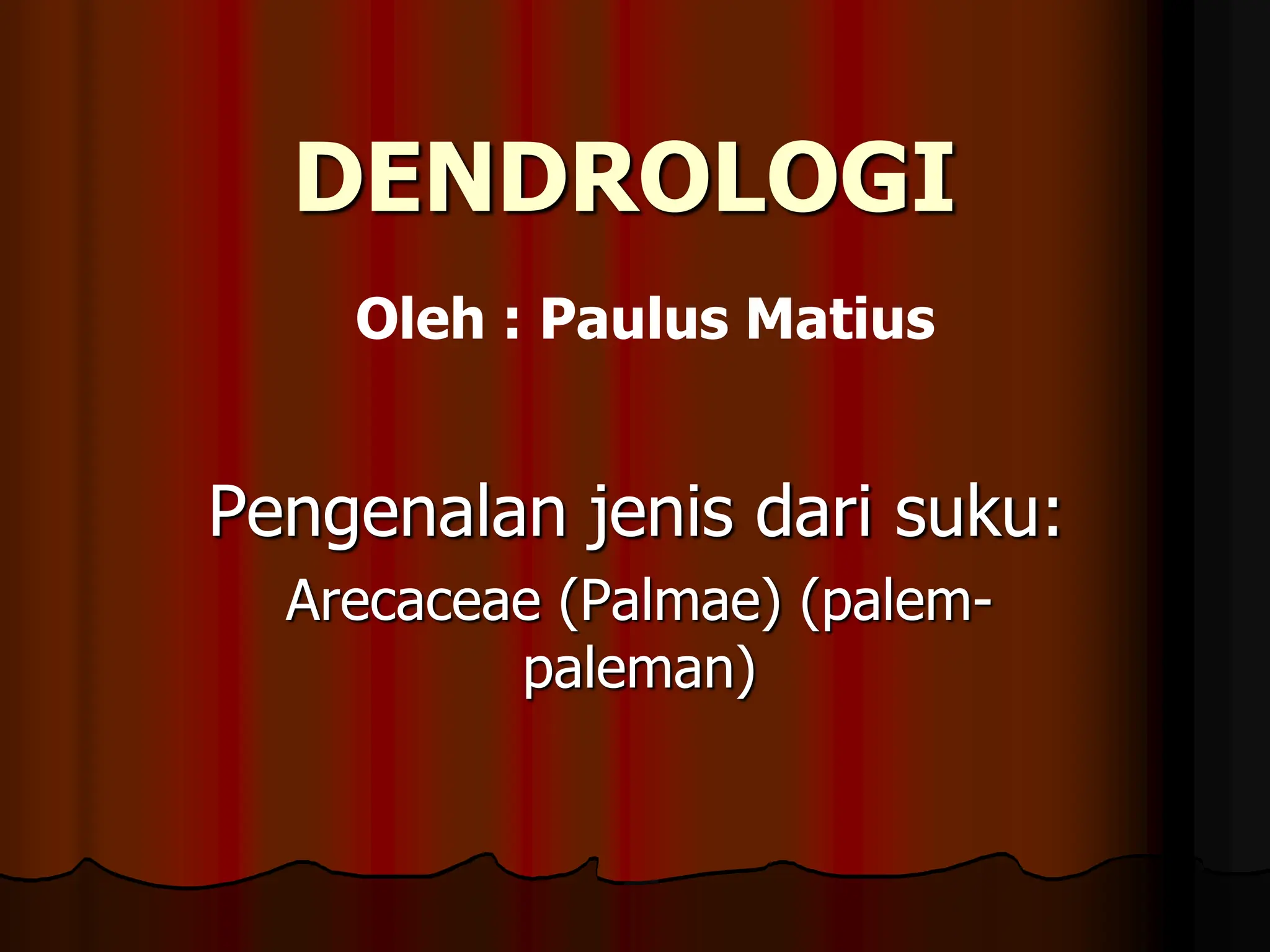 DENDROLOGI ARECACEAE, pengenalan jenis dari suku palem paleman | PPT