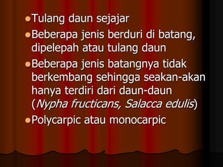 DENDROLOGI ARECACEAE, pengenalan jenis dari suku palem paleman | PPT