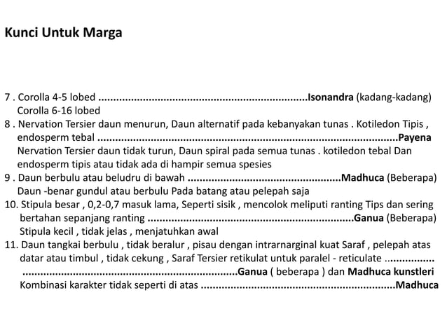 Dendrologi Sapotaceae | PPTX