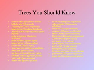 Dendrology | PPT