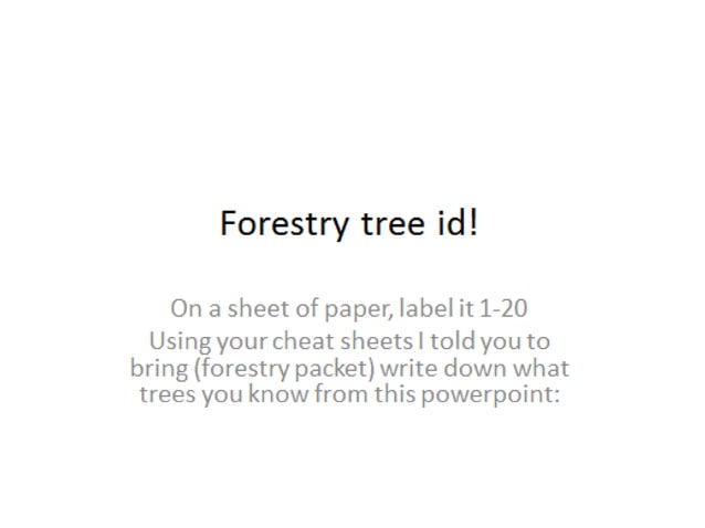 Dendrology quiz 1 | PDF